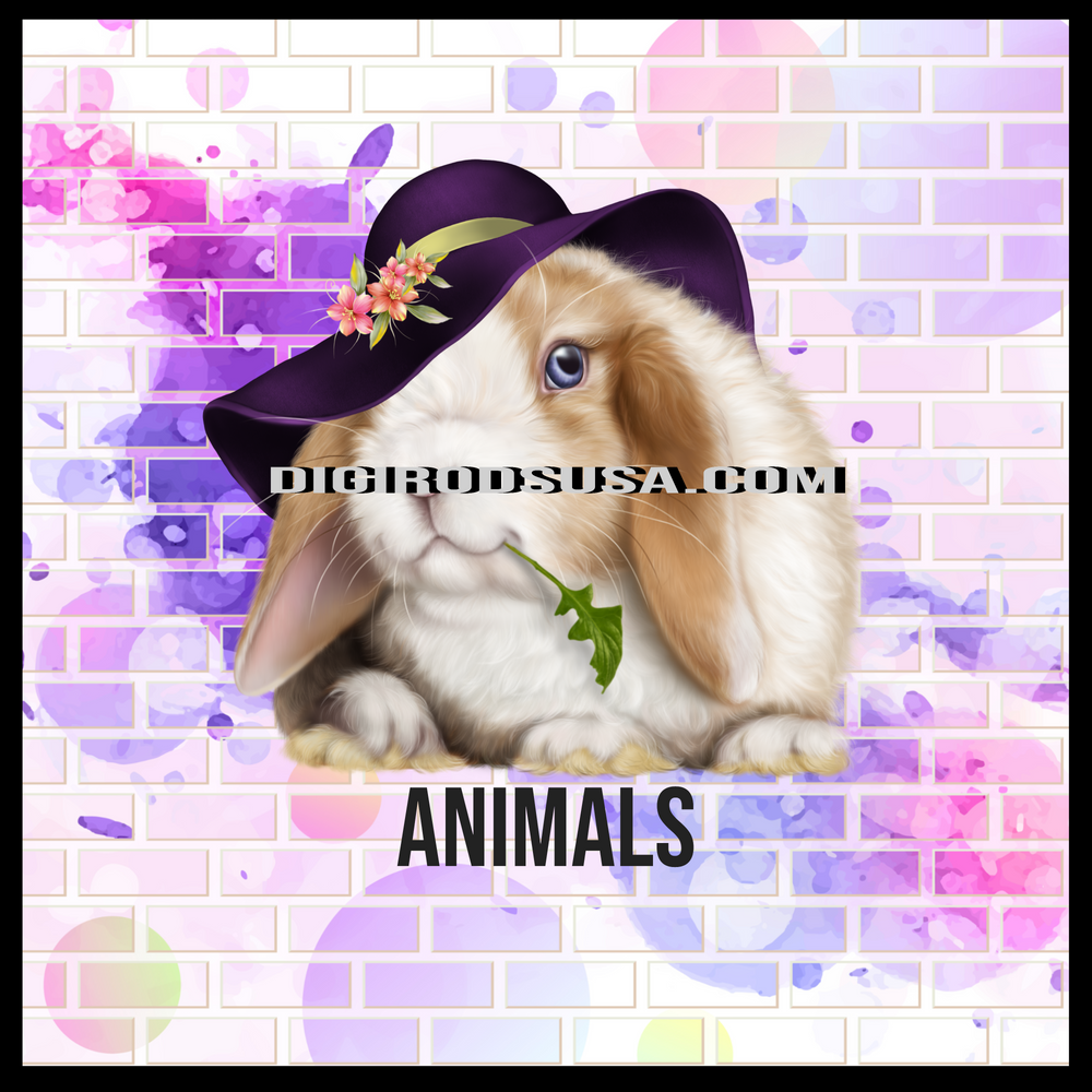 DigiRods Fun Cartoon Cars And Graphics On T Shirts and More Products ...